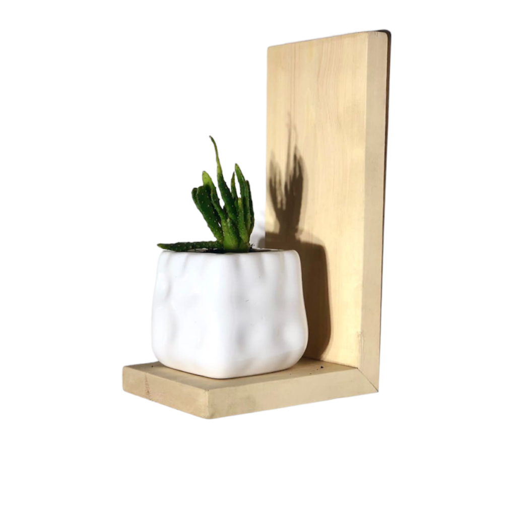 Flower Pot and Plant Racks - THE RACK STORE (PVT) LTD