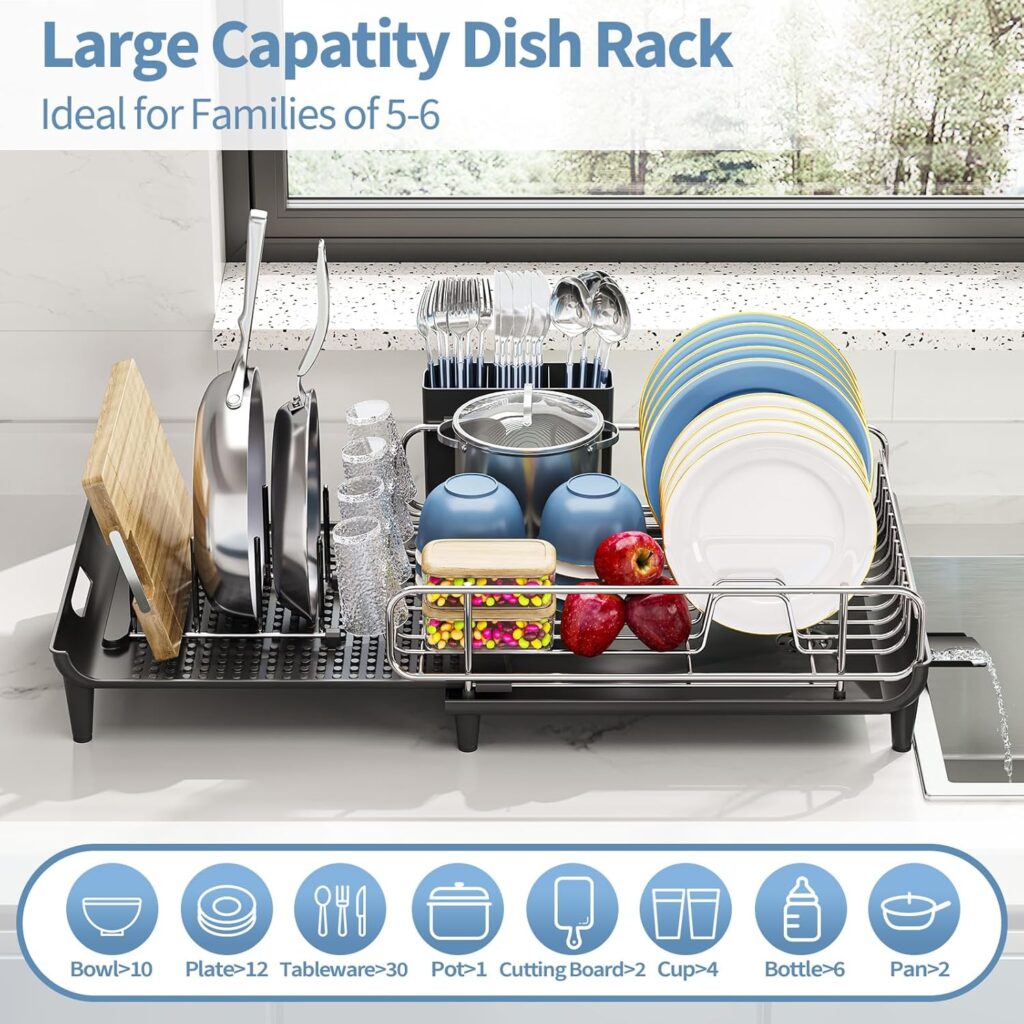 EXPANDABLE DISH DRYING RACK, STAINLESS STEEL SINGLE STORAGE DISH RACK ...